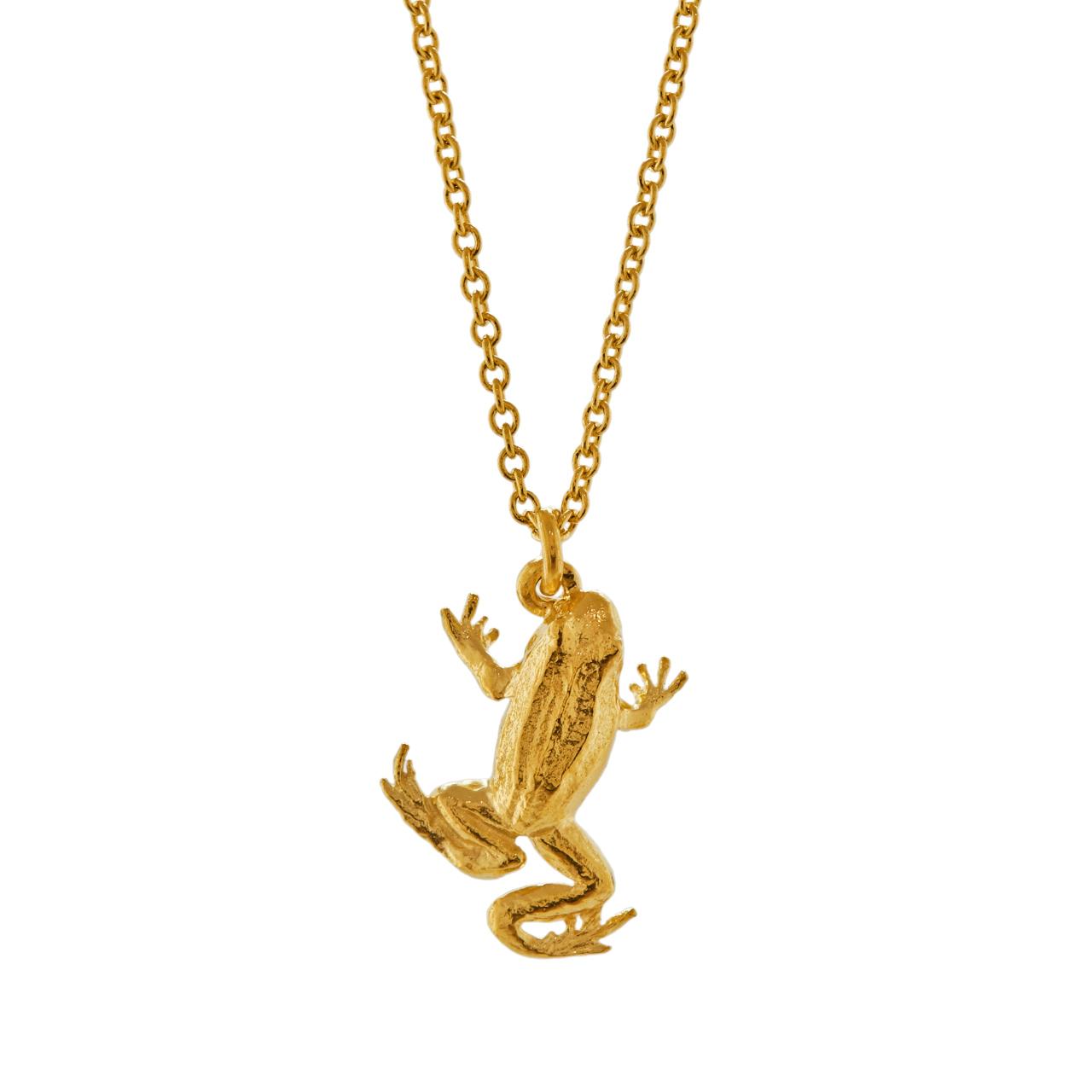 Alex Monroe Frog Necklace Gold – The Hambledon