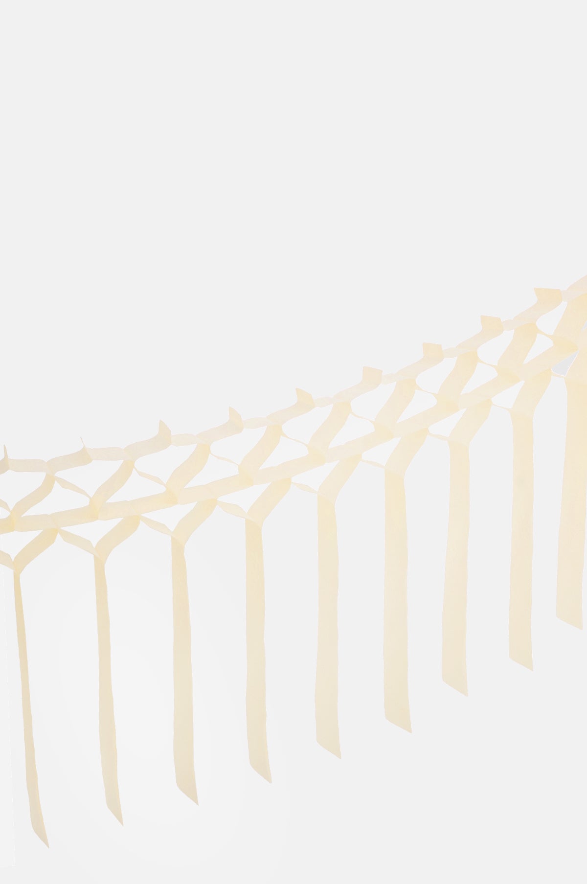 Paper Party Ivory Streamer Garland 12 Foot – The Hambledon